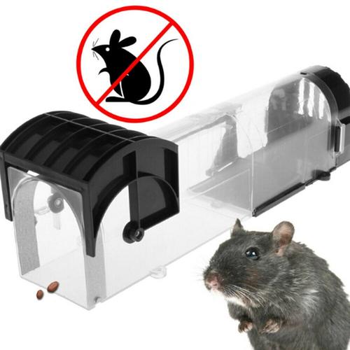 Jual Perangkap Tikus Modern Mouse Trap Cage Huntermoon - besar ...