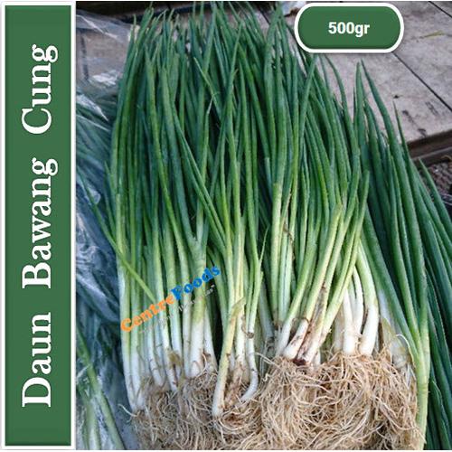 Jual Daun Bawang Cung - Daun Bawang Lokio Fresh | 500gr [ Harga Per 0 ...