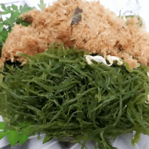 Jual rumput laut agar agar segar - 500 gram - Kab. Jepara - double_nine ...