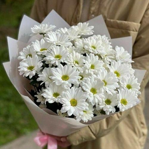 Jual The Hanna Florist - Aster bouquet buket bunga aster wisuda ready ...