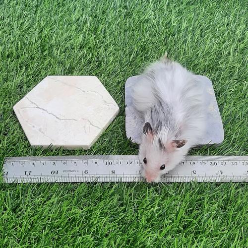 Jual Cooling pad marble u/ hamster & landak mini - Hexagon, Putih ...