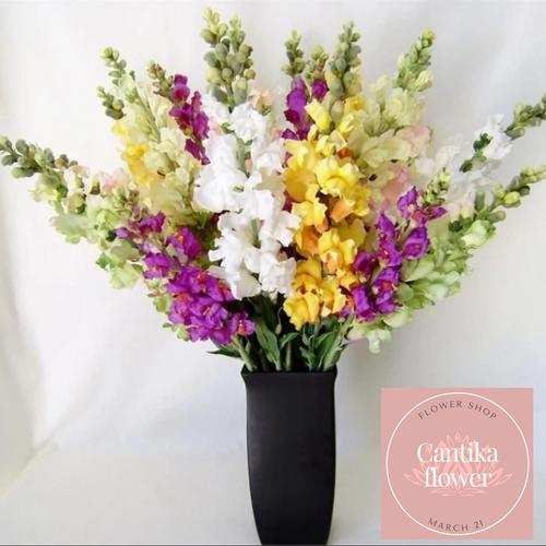 Jual Fresh Cut Snapdragon / Bunga Snep Segar per ikat - Pink - Jakarta ...