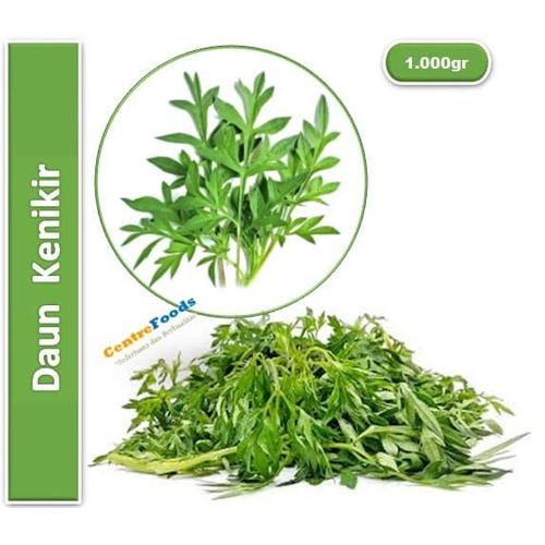 Jual Daun Kenikir - Daun Ulam Raja Fresh | 1.000gr [ Harga Per KG ...