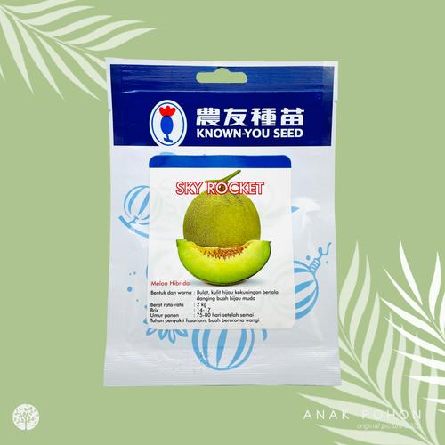 Jual (1 PACK - 20 GRAM) Benih Melon Sky Rocket Hibrida F1 Hijau Manis ...