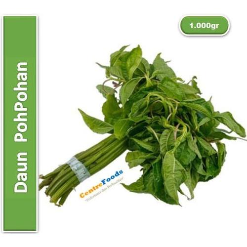 Jual Daun Popohan - PohPohan Fresh | 1.000gr [ Harga Per KG ] - Jakarta ...