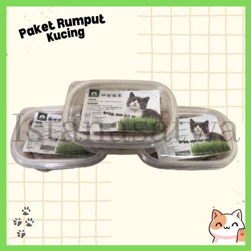 Jual Rumput Kucing Cat Seed Wheat Grass Paket Lengkap - Jakarta Barat ...
