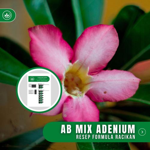 Jual Resep AB Mix Adenium Formula Racikan Nutrisi Bunga Adenium - Kab ...