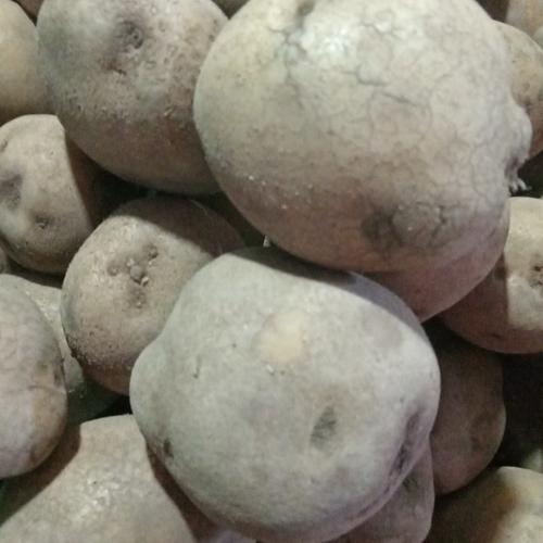 Jual kentang Dieng super 1kg - Jakarta Timur - Dapur Dona | Tokopedia