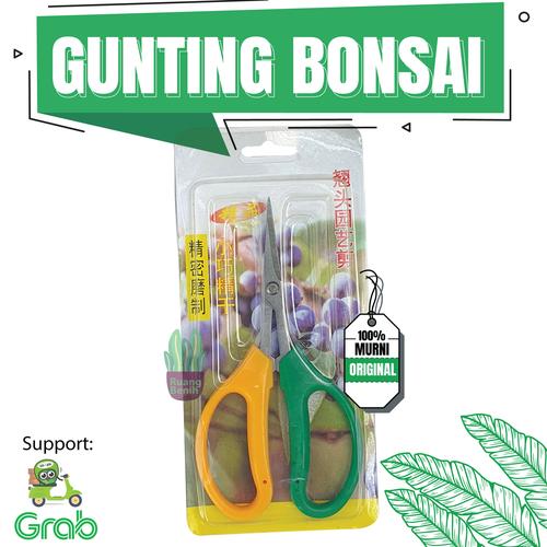 Jual GUNTING TANAMAN BONSAI BESI TAJAM PRUNING DAUN PEMOTONG DAHAN RANTING - Kota Tangerang ...