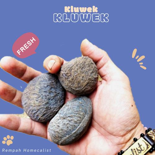 Jual kluwek rawon 1kg - 500 gram - Jakarta Selatan - Rempah Homecalist ...