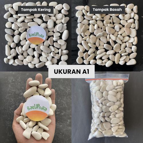 Jual Batu Koral Kupang PUTIH Hias Tanaman dan Aquarium Aquascape 1KG ...