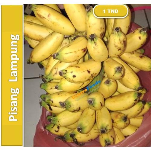 Jual Buah Pisang Lampung Segar - Pisang Muli Fresh | 1 Tandan [ Harga ...