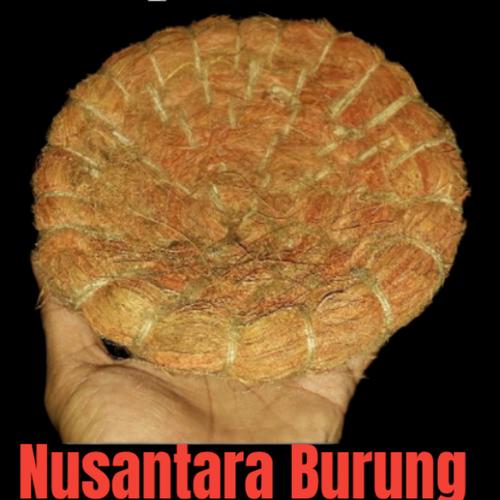 Jual sarang bertelur burung kenari Perkutut - Kab. Kebumen - NUSANTARA ...