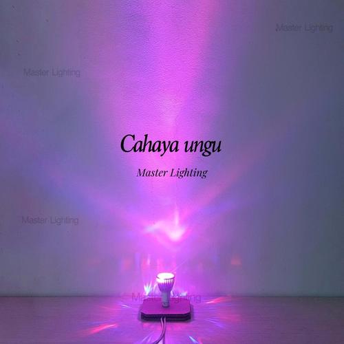 Jual Lampu Bohlam Halogen LED 5w merah biru hijau ungu rgb - Merah ...