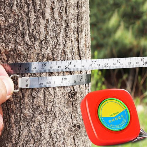 Jual Excellent Diameter Circumference Tape Measure Professional Garden ...