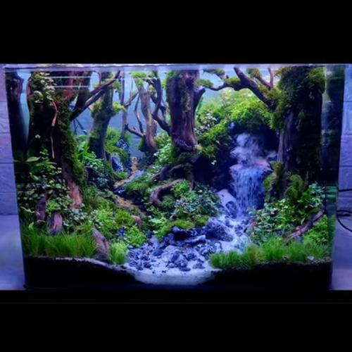 Jual aquascape aquarium tema jungle hutan waterfall fullset - Jakarta ...