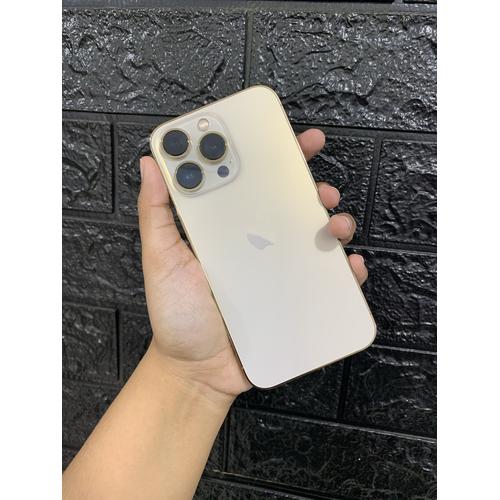 Jual IPHONE 13 PRO EX IBOX 256GB FULLSET ORIGINAL MULUS NO DENT - Kota Malang - Official MRP ...