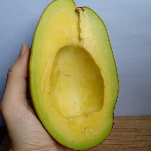 Jual Alpukat/Apokat/Avocado Mentega Super/Tanpa Serat/Buah Segar/1Pcs ...