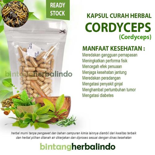 Promo Cordyceps Kapsul Curah Mengatasi Jantung radang diabetes ...