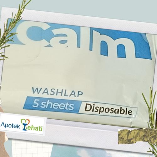 Jual Careplus Hifresh Washlap Disposable Antiseptik isi 10 & 5 Lembar ...