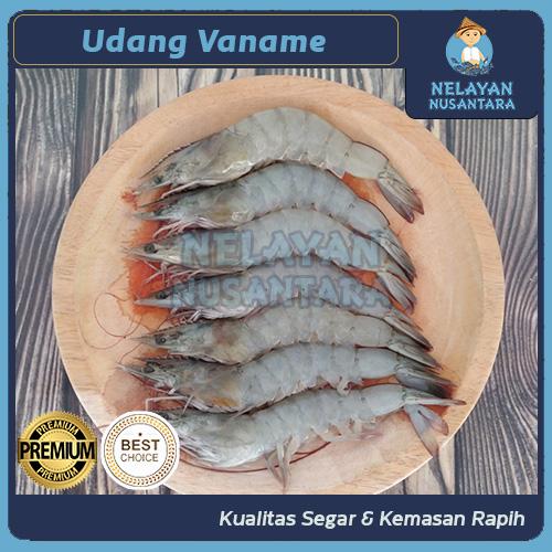 Jual Udang Vaname Fresh Sz 50 1Kg / Udang Vannamei Laut Segar frozen ...