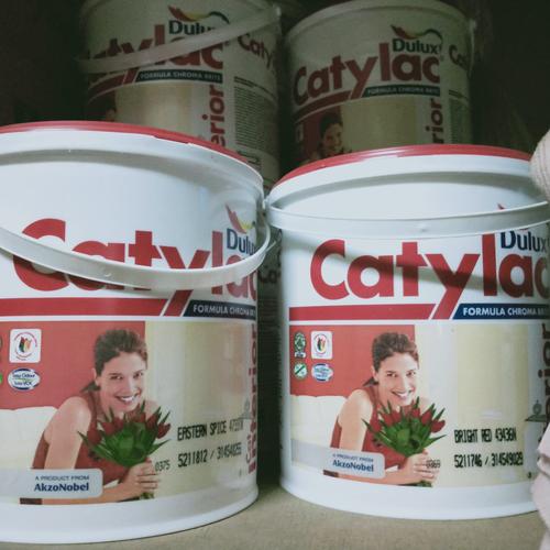 Jual CAT CATYLAC DULUX 5 KG / CAT TEMBOK / WALL PAINT - LIGHT IVORY ...