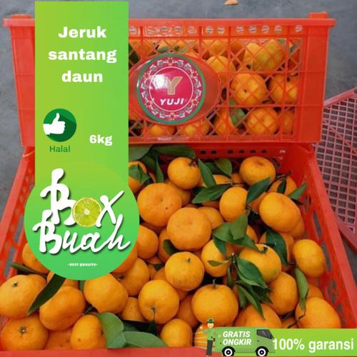 Jual JERUK SANTANG DAUN 1 KERANJANG - 1kg - Jakarta Barat - IMSboxBUAH ...