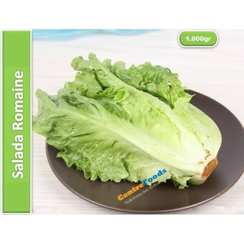 Jual Salada Romen - Selada Romaine Lettuce Fresh | 1.000gr [Harga Per ...