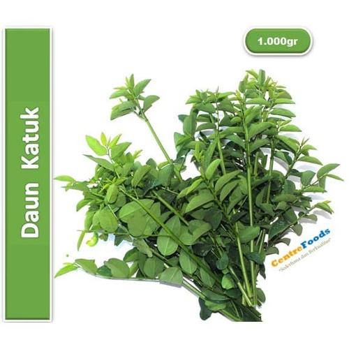 Jual Daun Katuk - Daun Cekur Manis Fresh | 1.000gr [ Harga Per KG ...