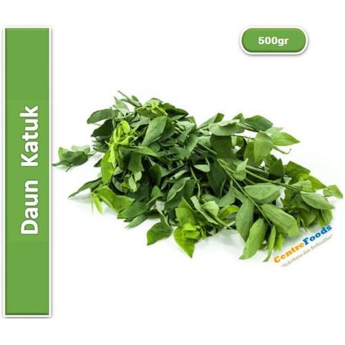 Jual Daun Katuk - Daun Cekur Manis Fresh | 500gr [ Harga Per 0,5 Kg ...