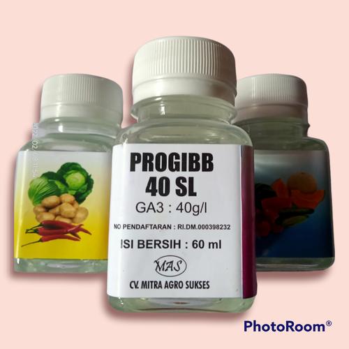Jual ZPT PROGIB PROGIBB 40 SL GA3 PEMACU PERTUMBUHAN TANAMAN DAN BUAH ...