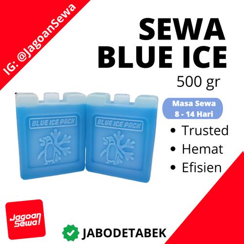 Jual RENTAL (8 - 14 Hari) Ice Pack / Blue Ice / Es Batu / Ice Gel 500 ...