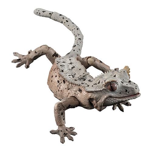 Jual Set 4 lengkap bandai dango mushi crested gecko ikimono gashapon ...