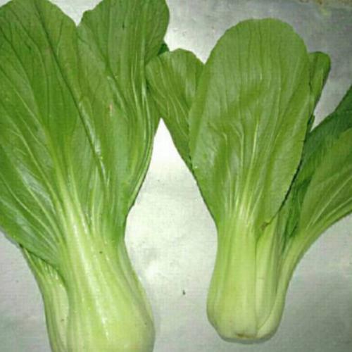 Jual pakcoy 1kg - Jakarta Pusat - Pak Sayur | Tokopedia