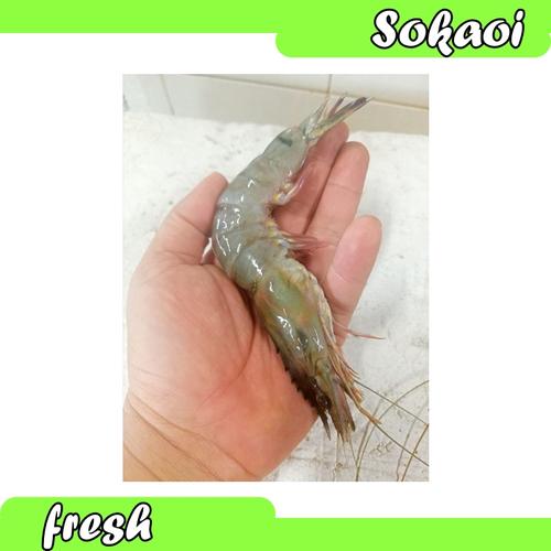 Jual TIGER PRAWN UDANG WINDU SEAFOOD UDANG SEGAR 250 gr SIZE 20 - Kota ...