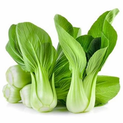 Jual Sayur Pokcoy Pak Choy Pakcoy Lokal Hijau Segar Baru Fresh Murah ...