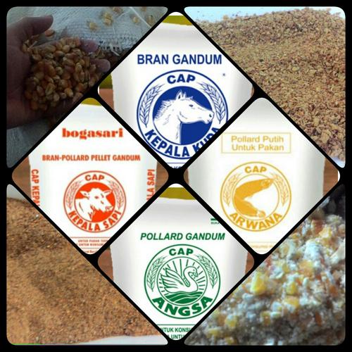 Jual Pollard Gandum Bogasari Cap Angsa Kuda Sapi Arwana Wheat Bran ...