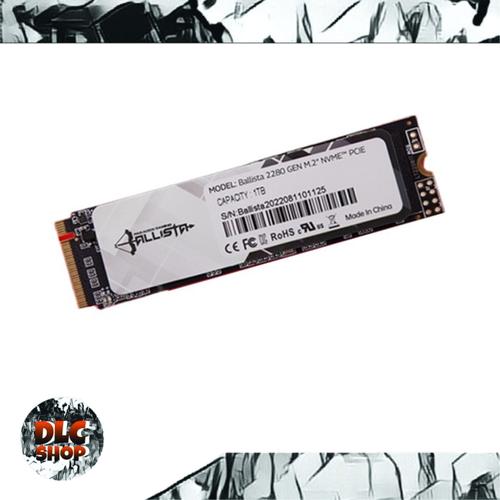 Jual Paradox Gaming Ballista SSD 256GB M.2 NVMe 2280 / SSD M.2 256GB ...