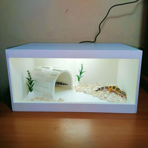 Jual Kandang Gecko Plus Hiding Cave / Kandang Akrilik Reptil - Kab ...