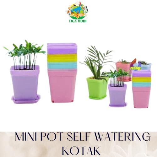 Jual POT MINI SELF WATERING POT BUNGA TANAMAN HIAS SEKULEN SIRAM ...