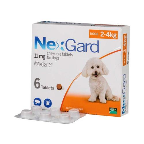 Jual NexGard Puppies & Small Dogs 2-4KG HARGA PER TABLET - Obat Kutu ...