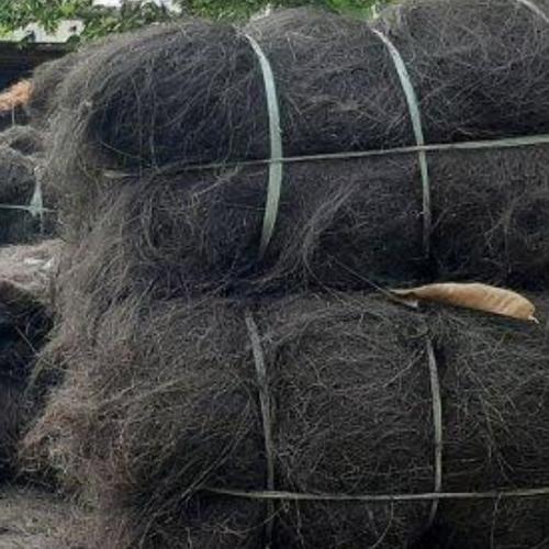 Jual ijuk aren 1 kg - Kota Bandung - Lagoona Fresh | Tokopedia