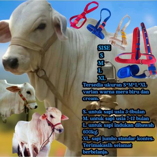 Jual BRANGOS SAPI HEAD HALTER/IKAT KEPALA SAPI PRODUK ORIGINAL WEBBING - Merah + hitam, S - Kab ...