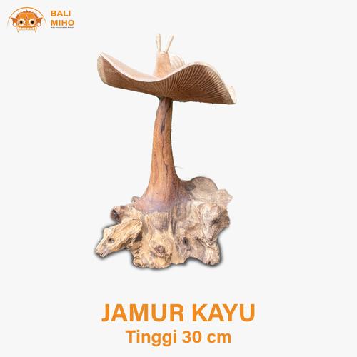 Jual Jamur Kayu Ukuran 30 cm Kerajinan Tangan Bali - Dekorasi Rumah ...