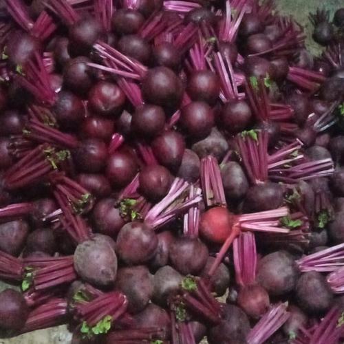 Jual buah bit segar 1kg - Jakarta Pusat - Sayurkita10 | Tokopedia