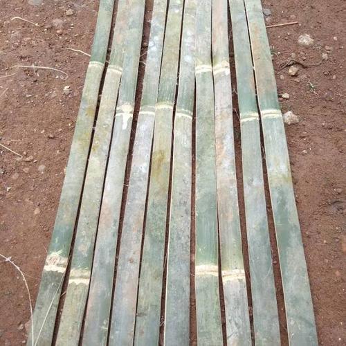 Jual Bambu belah 100cm per 1 ikat 10/ Bambu bahan pagar 100cm lebar 3cm ...