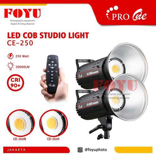 Promo LED COB Lampu Foto Video Studio Light Continuous Pro One CE-250 ...