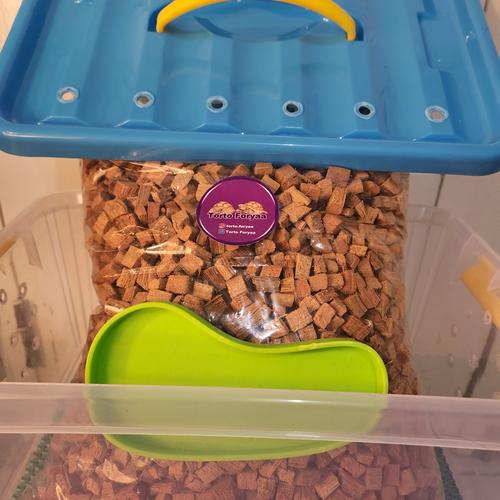 Jual Kandang Travel / Pet Carrier Reptil, Tortoise, Kura Darat, Sulcata ...