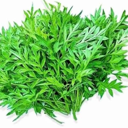 Jual sayuran daun kenikir segar - Kota Bekasi - pasar baru pedia ...
