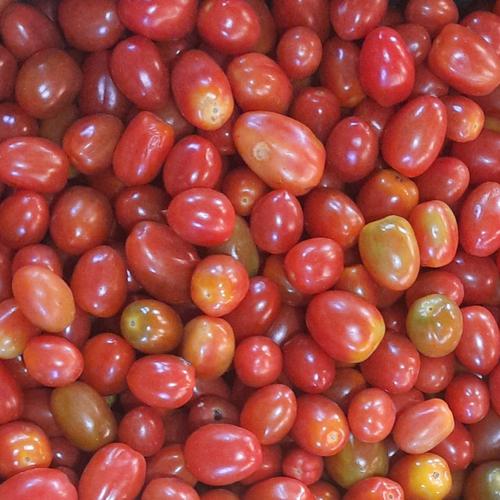 Jual tomat cherry 1 kg - Jakarta Pusat - Paksayur10 | Tokopedia